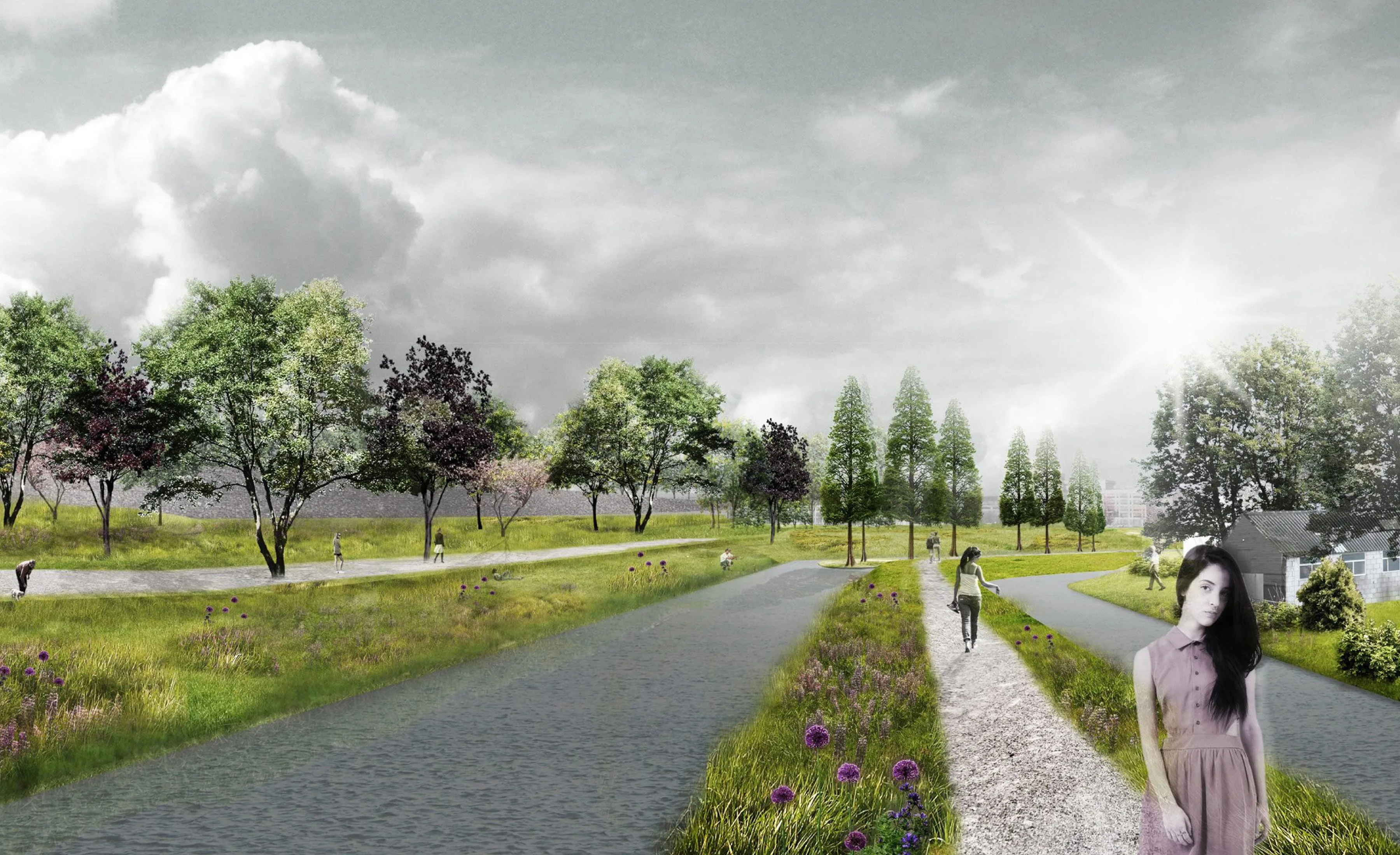 Landscape Architecture Walk Perspective Water Is Life': A Hydrophilic