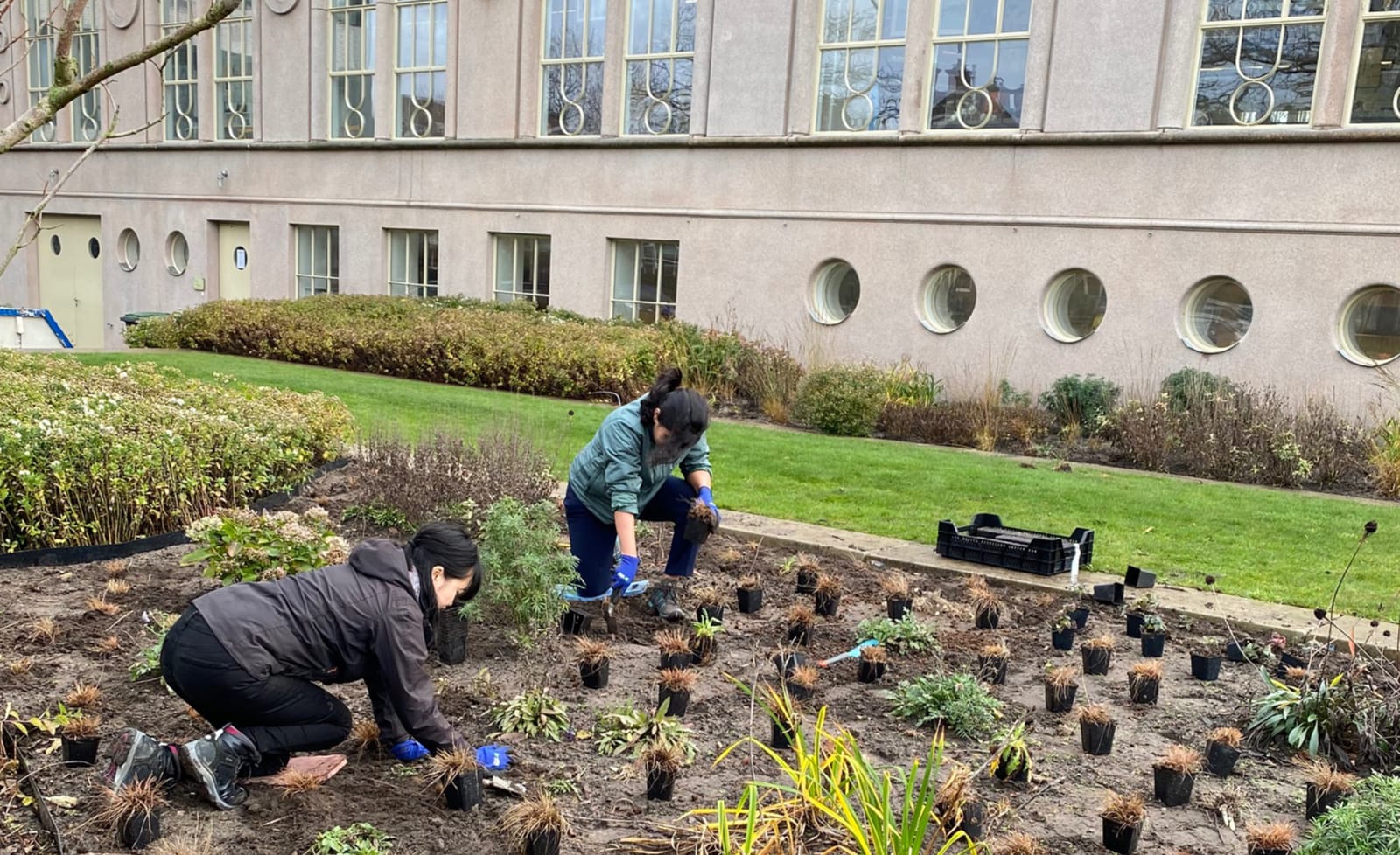 DELVA sponsort museumtuin met 3500 planten - DELVA Landscape ...