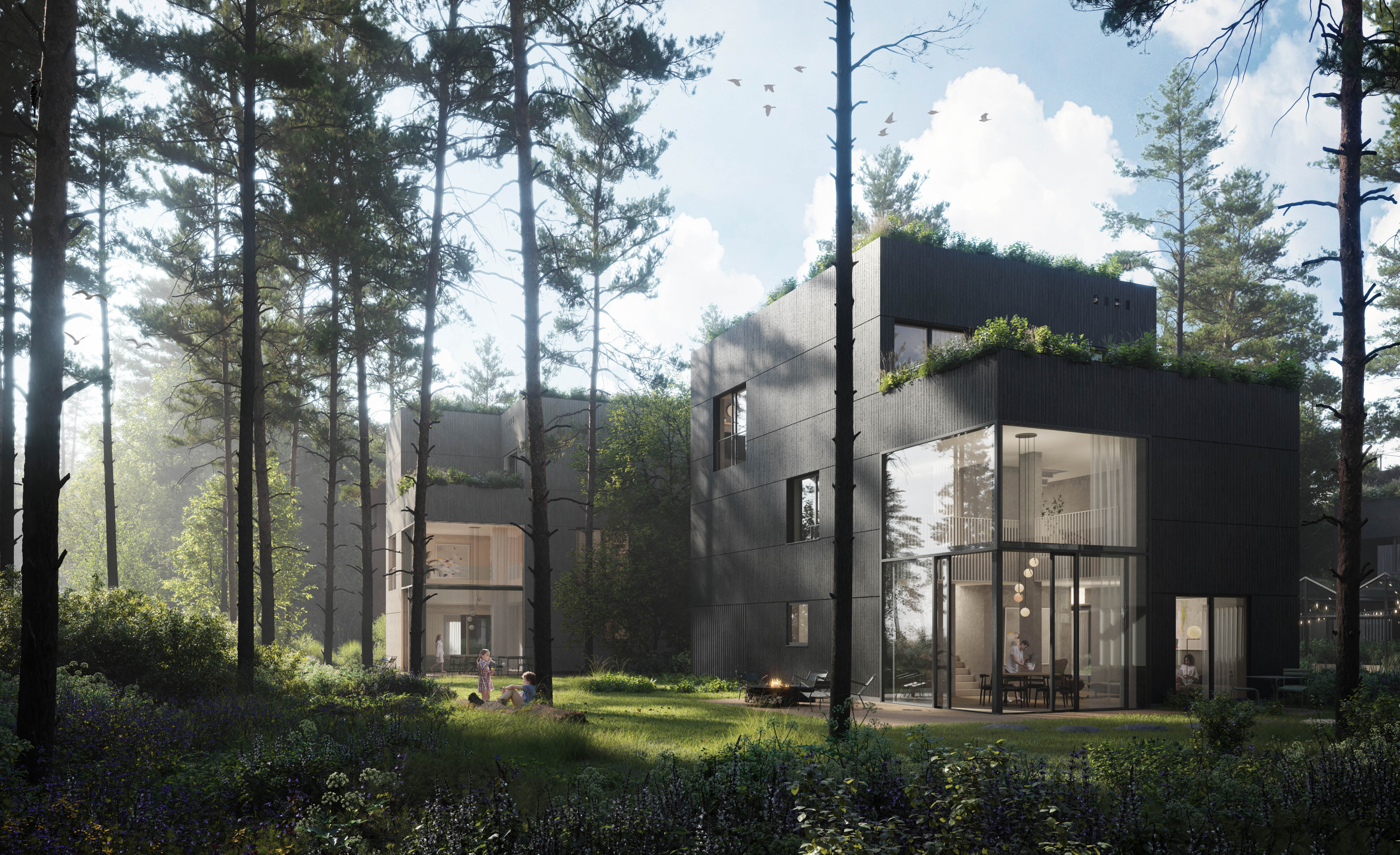 Common Woods - DELVA Landscape Architecture & Urbanism