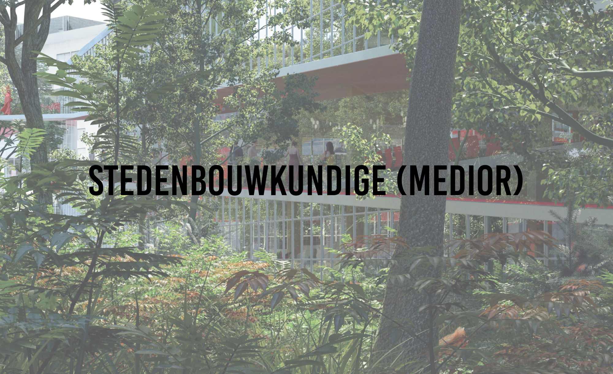 Medior Stedenbouwkundige (NL/EN) - DELVA Landscape Architecture ...